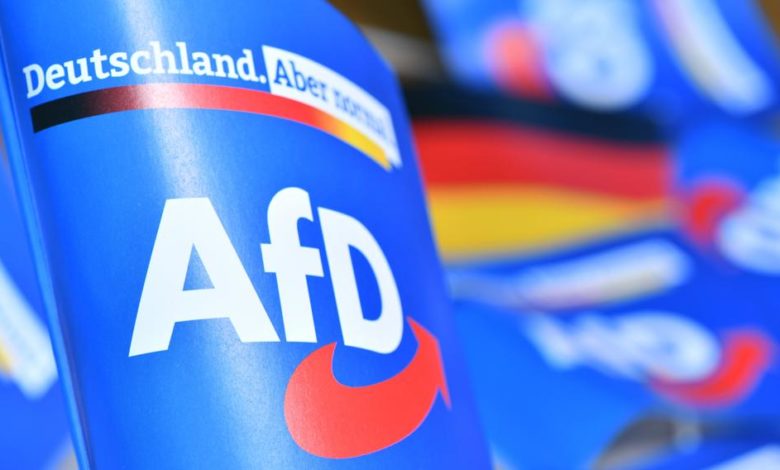 AfD borrows its program and campaign elements from the MAGA movement ...