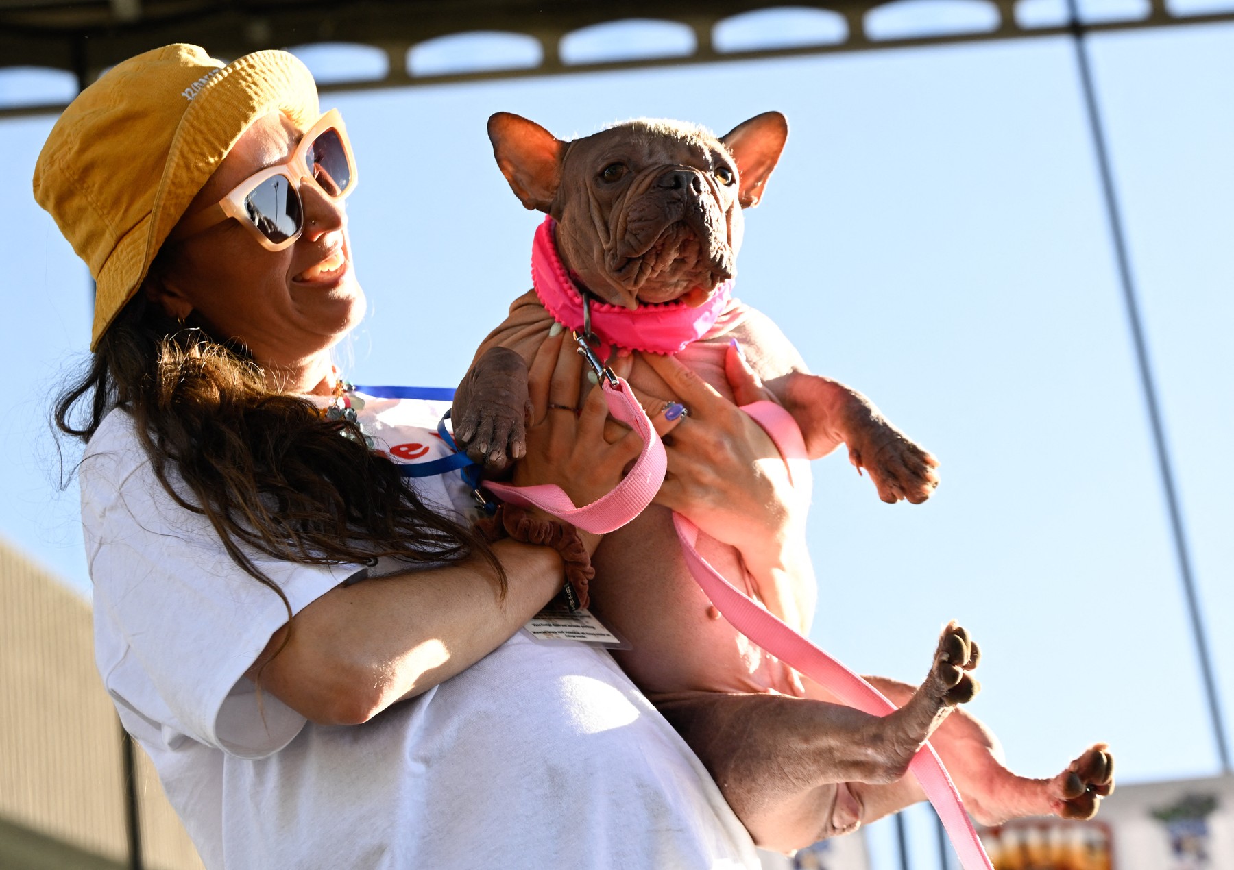“The worst dog in the world” is officially Petunia a French -free ...