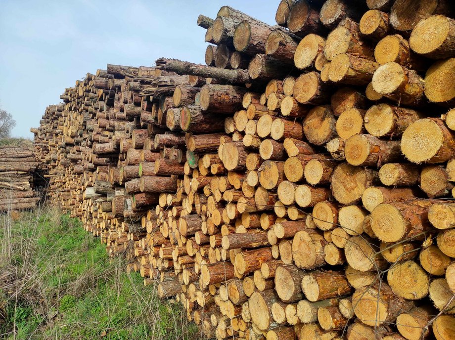 Winter has devastated the pellet market in Poland. Prices are soaring ...